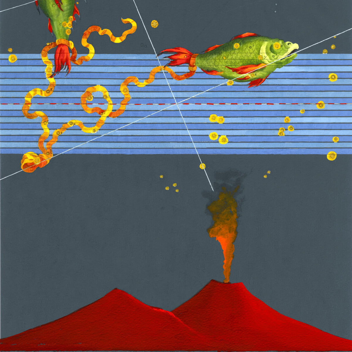 Pesci – GENNARO REGINA